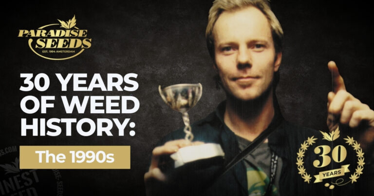 рџґ Paradise Seeds Buy Cannabis Seeds Online