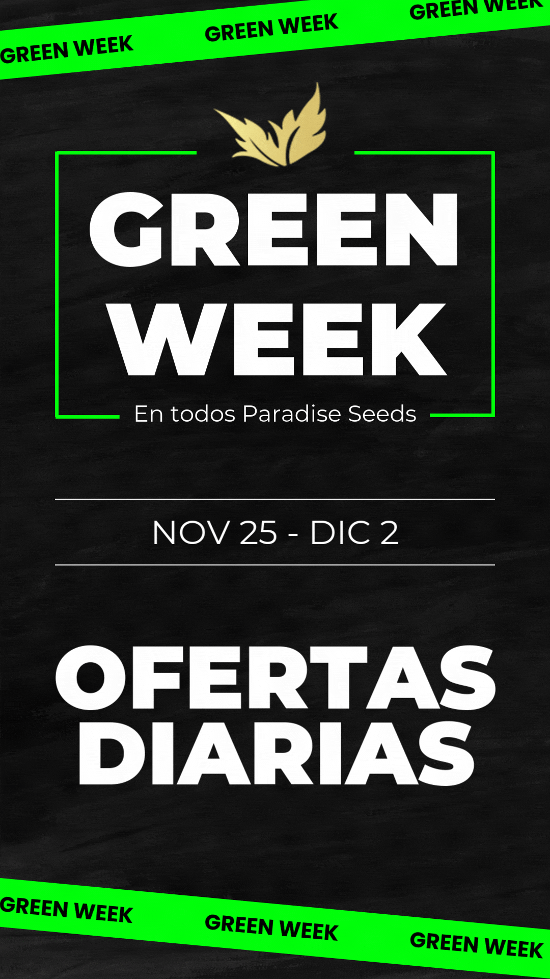 ¿Qué es el cannabinoide THC-H? - Paradise Seeds